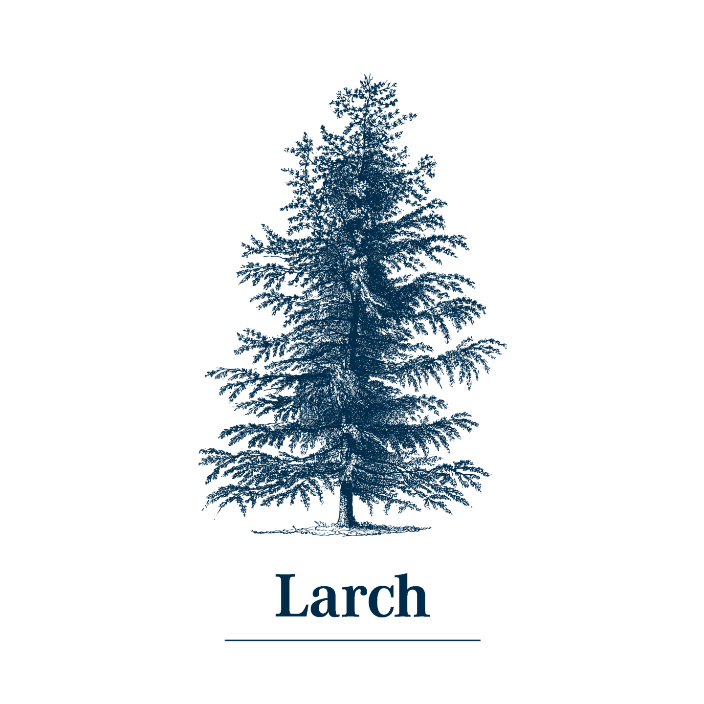 CASTELLO - the château plank formats by HAIN - hain.de